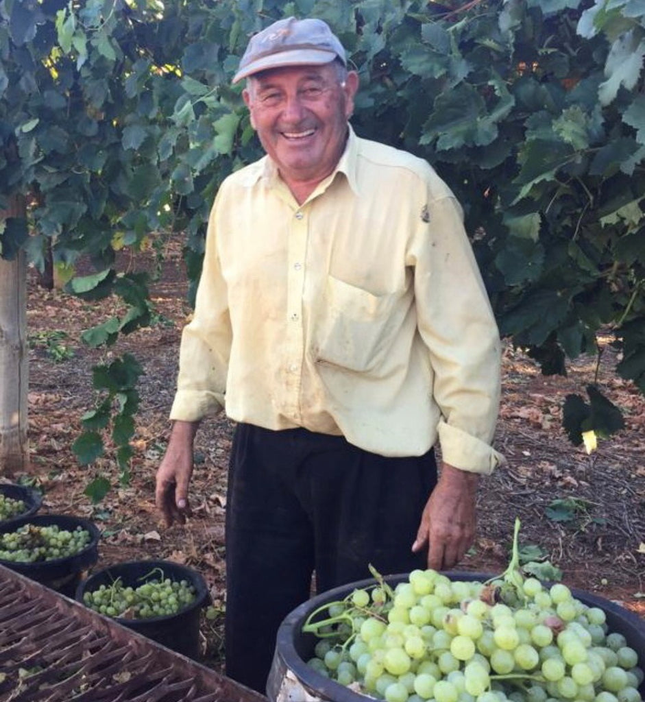 TASSONE, Giuseppe 'Joe' - 2022-07-14 1.30 – McGlynn Hunt Funerals